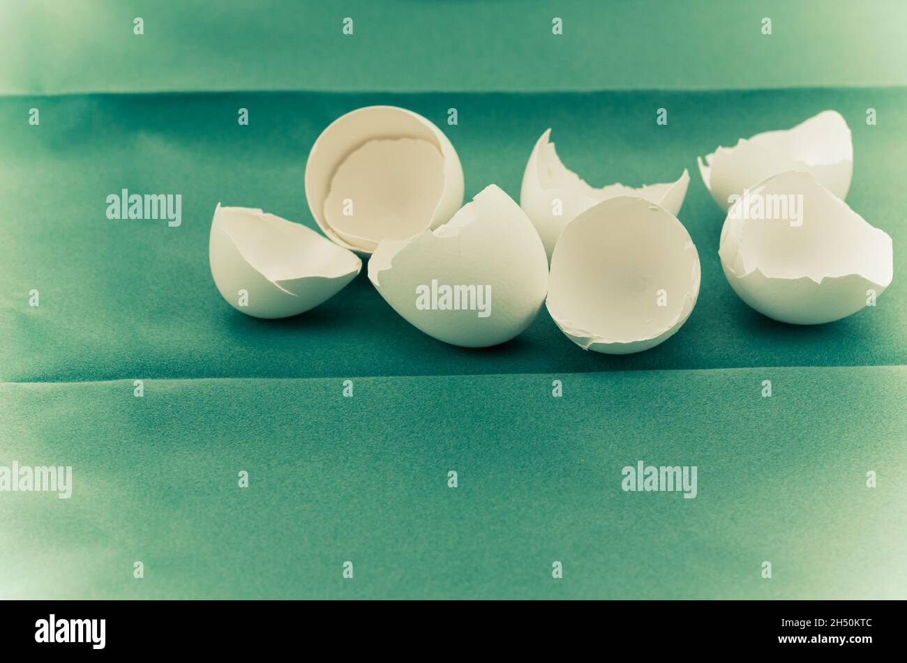 empty white eggs shells on a green textured background Stock Photo - Alamy