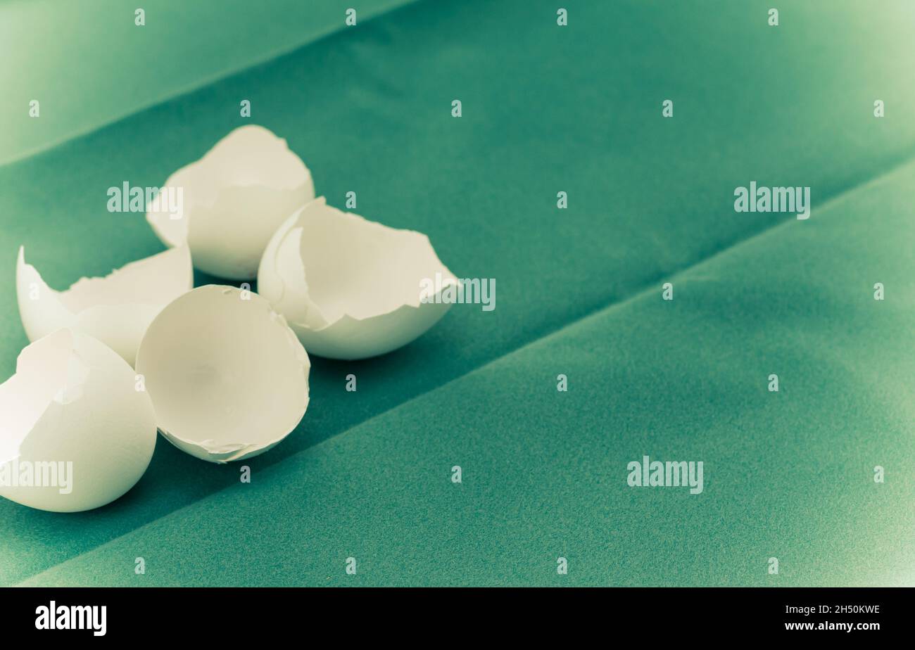 empty white eggs shells on a green textured background Stock Photo - Alamy