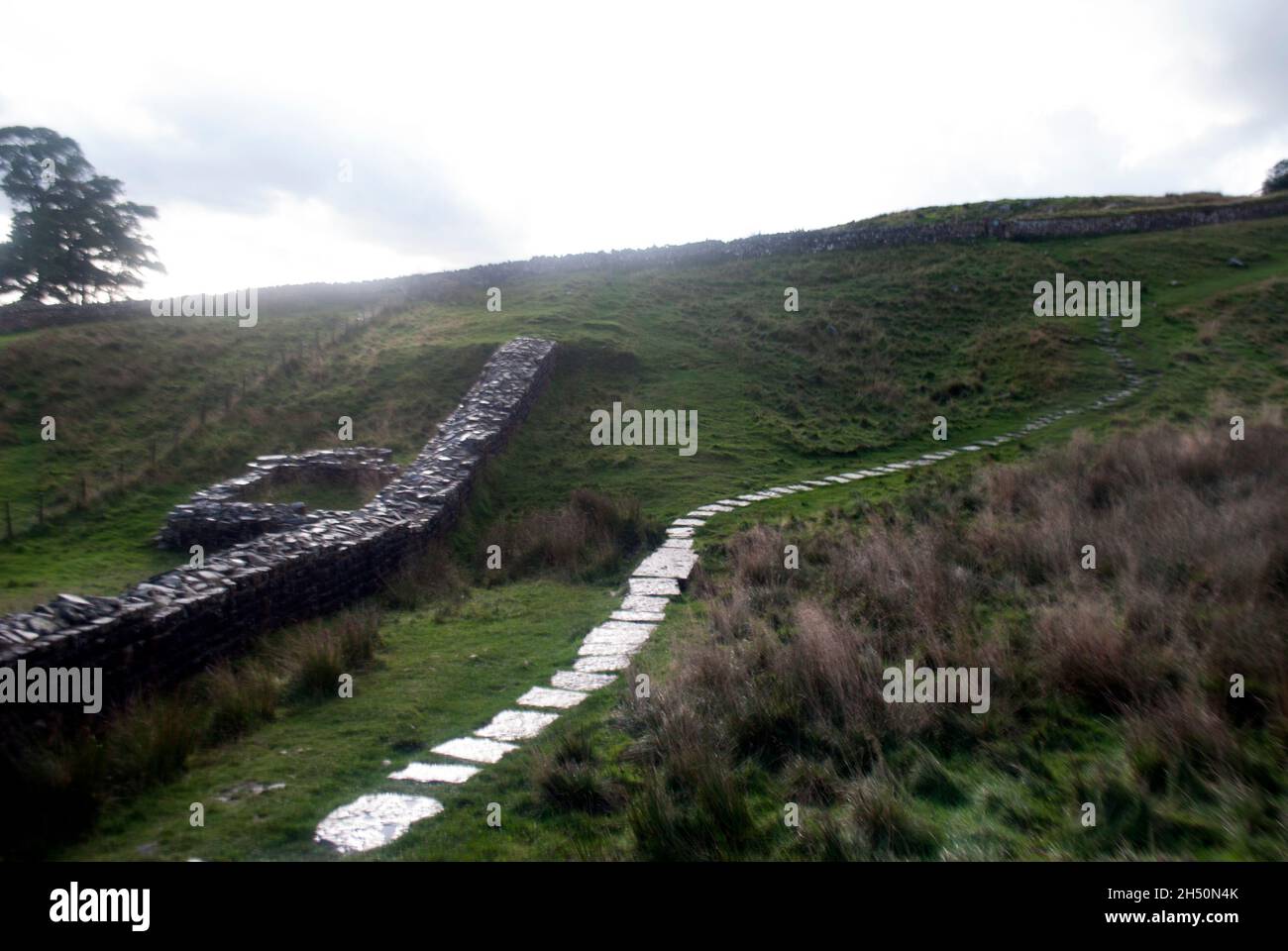 Wet and shiny stone flagstones of path running alongside Hadrian's Wall ...