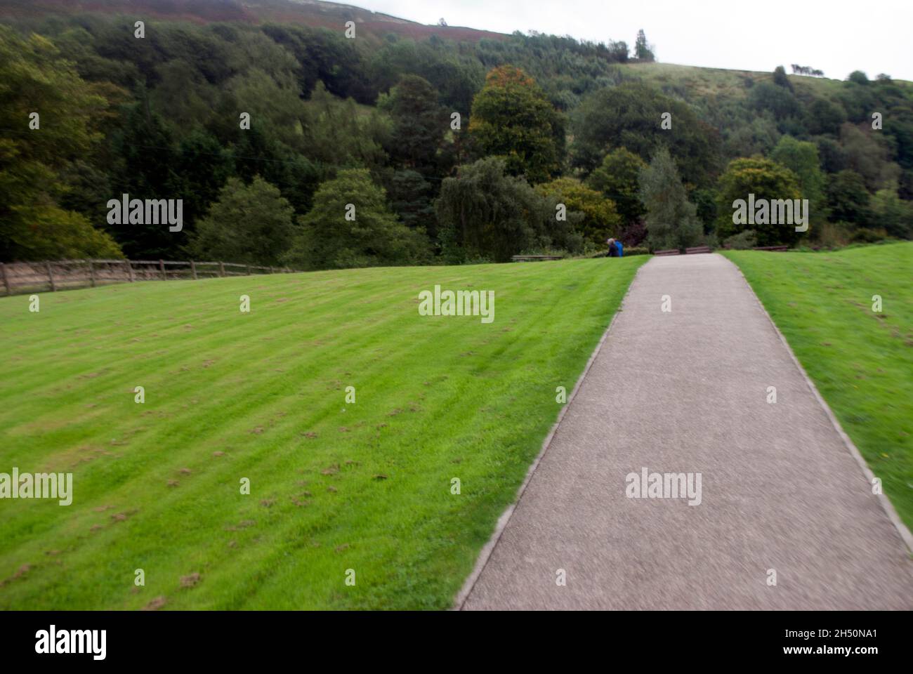 Path between grass with trees in the background at Vindolanda Fort and ...