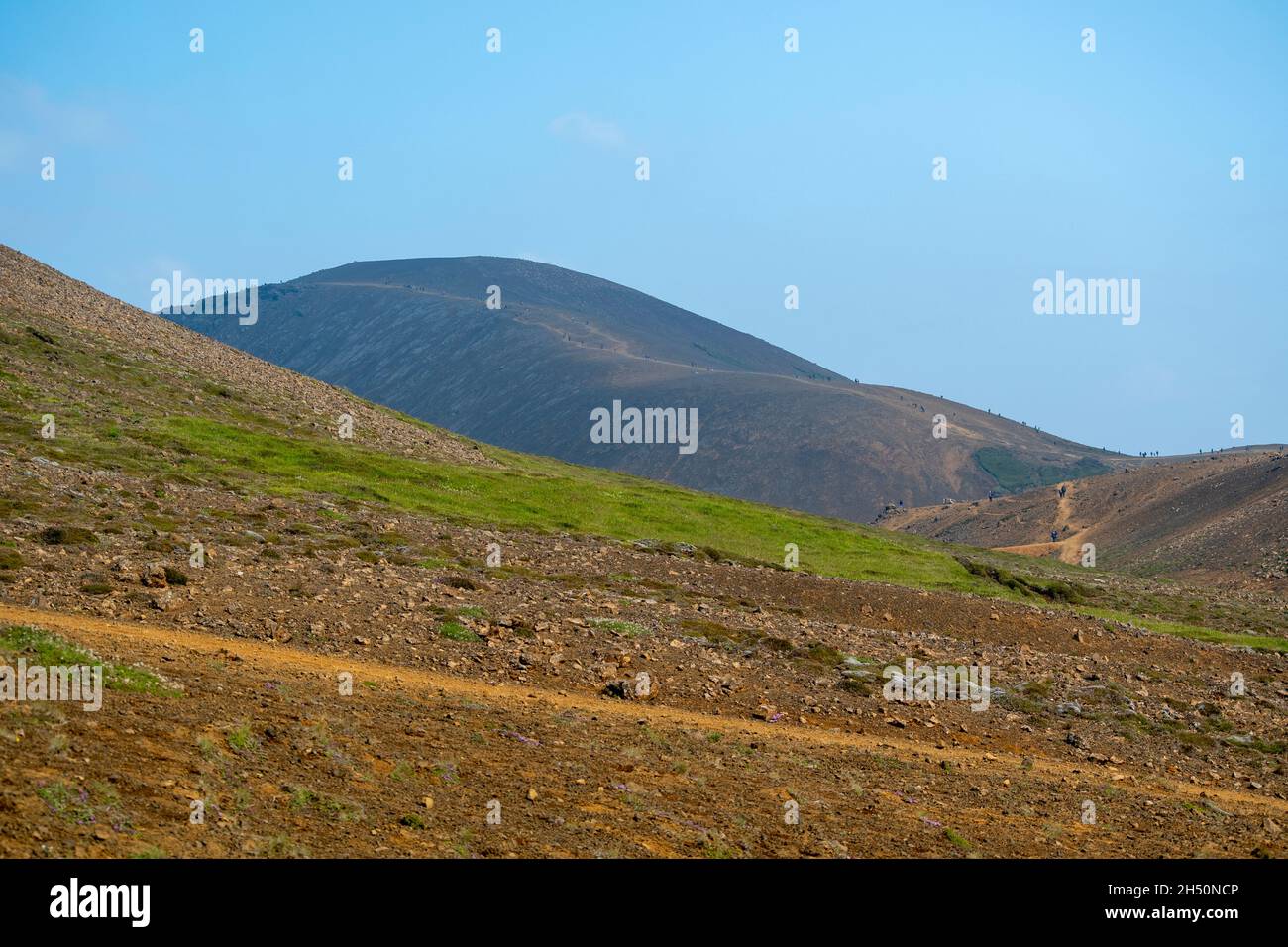Grassy landscape of plants growing in lava rock at Fagradalsfjall ...