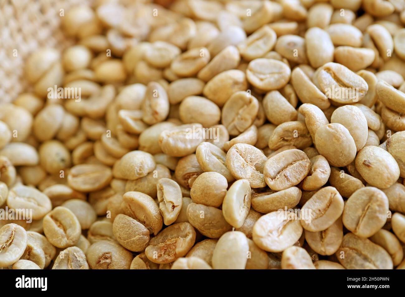 Closeup heap of parchment coffee beans before roasting Stock Photo - Alamy