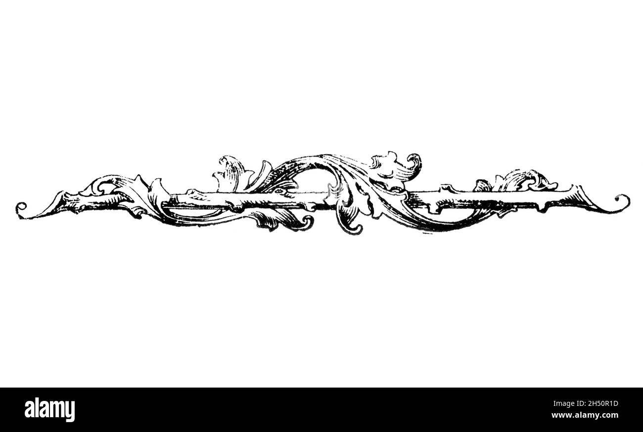 Floral Ornamental Text Divider. Vintage Antique Drawing Stock Photo - Alamy