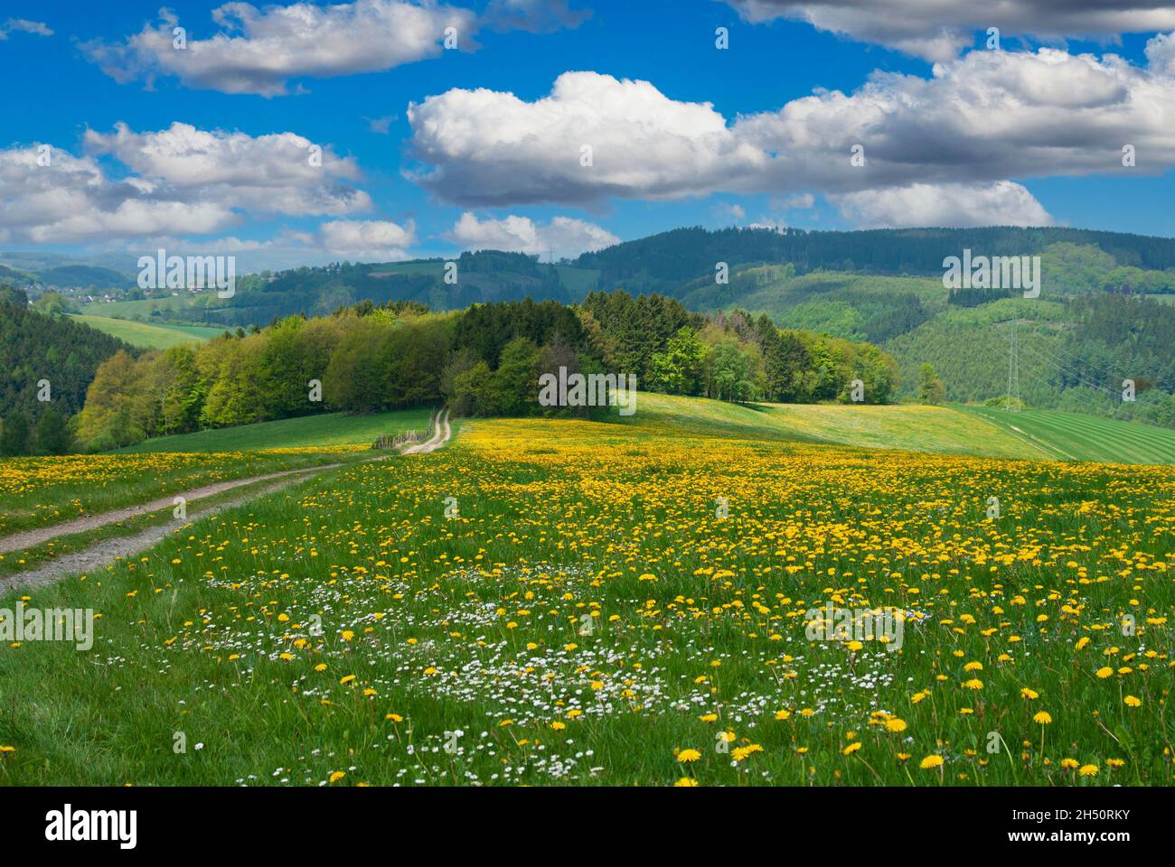 Outdoor german countryside hi-res stock photography and images - Alamy