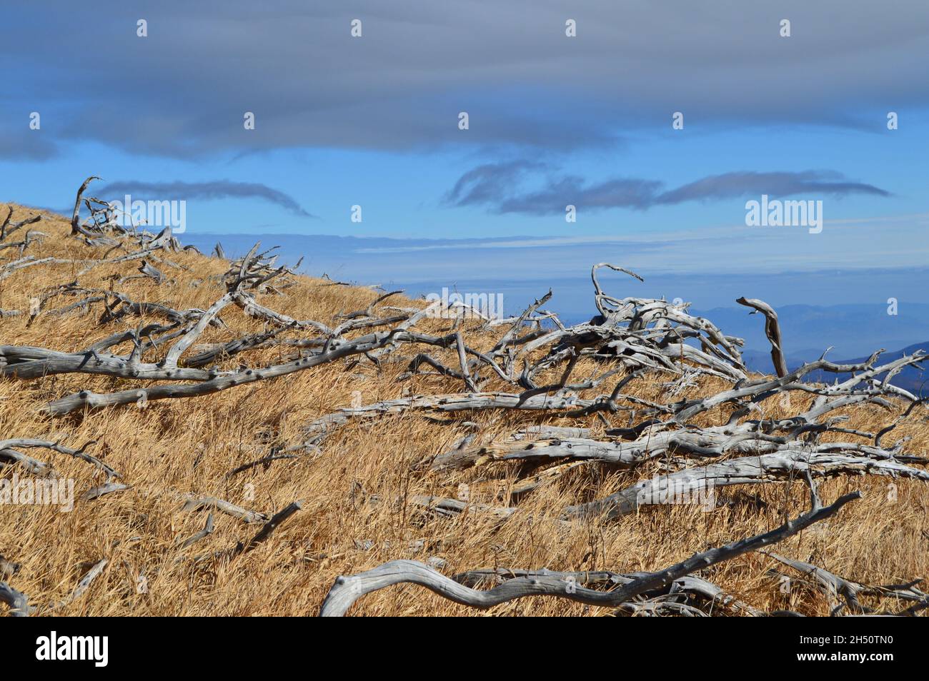 Hiking day on Vranica mountain, Bosna and Herzegovina Stock Photo - Alamy