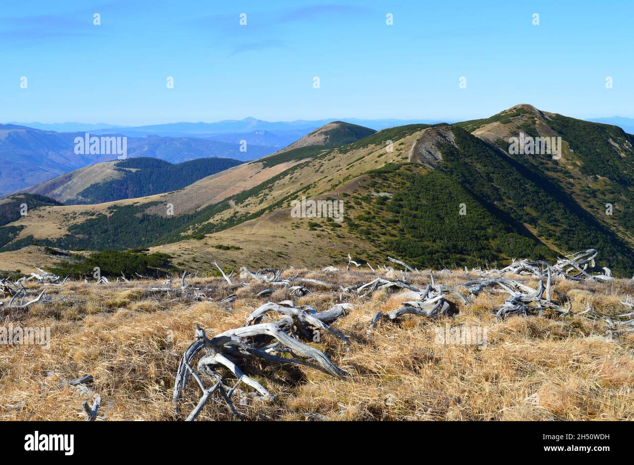 Hiking day on Vranica mountain, Bosna and Herzegovina Stock Photo - Alamy