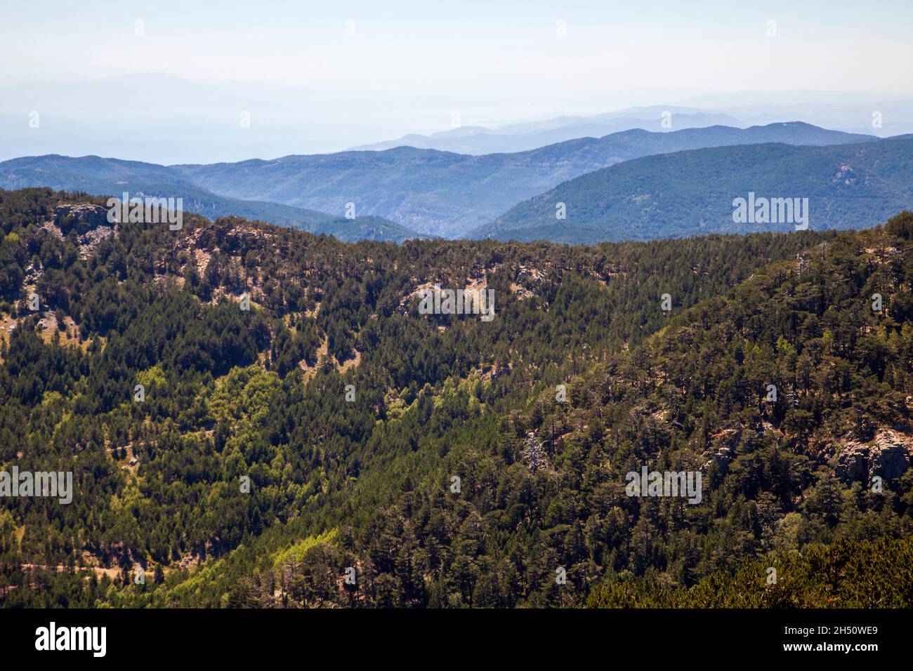 Ida Mountain-Kaz Daglari in Turkey. (in Turkish: Kazdagi, meaning Goose ...