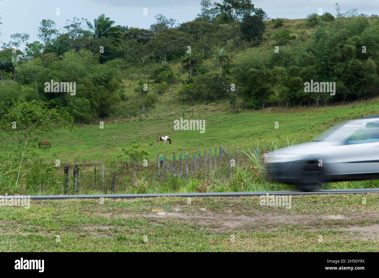 Salvador, Bahia, Brazil - October 08, 2015: Cars moving on the road ...