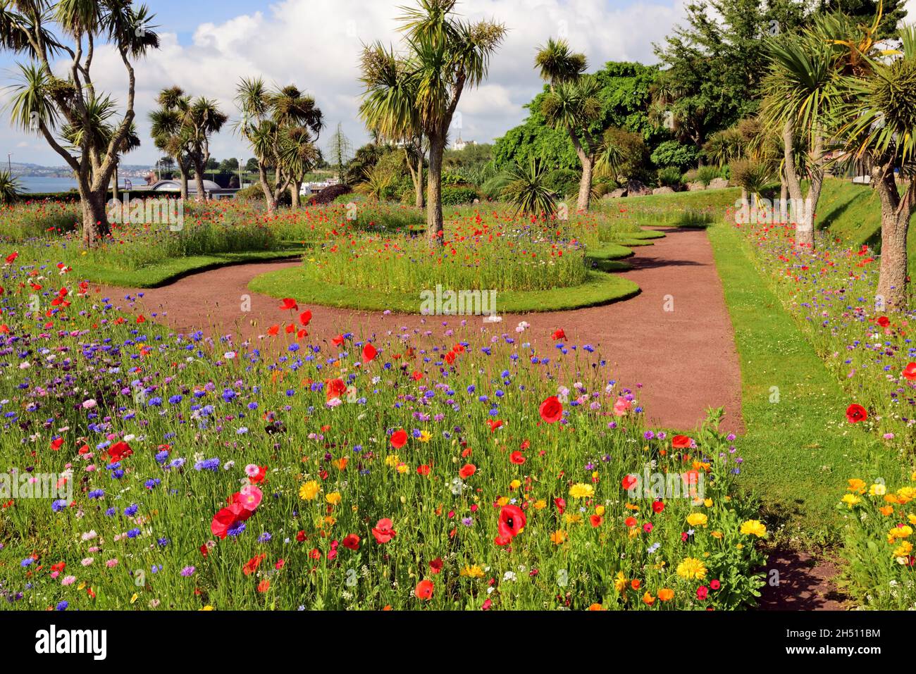 Wildflower displays in Abbey Park Gardens, Torquay, South Devon Stock ...