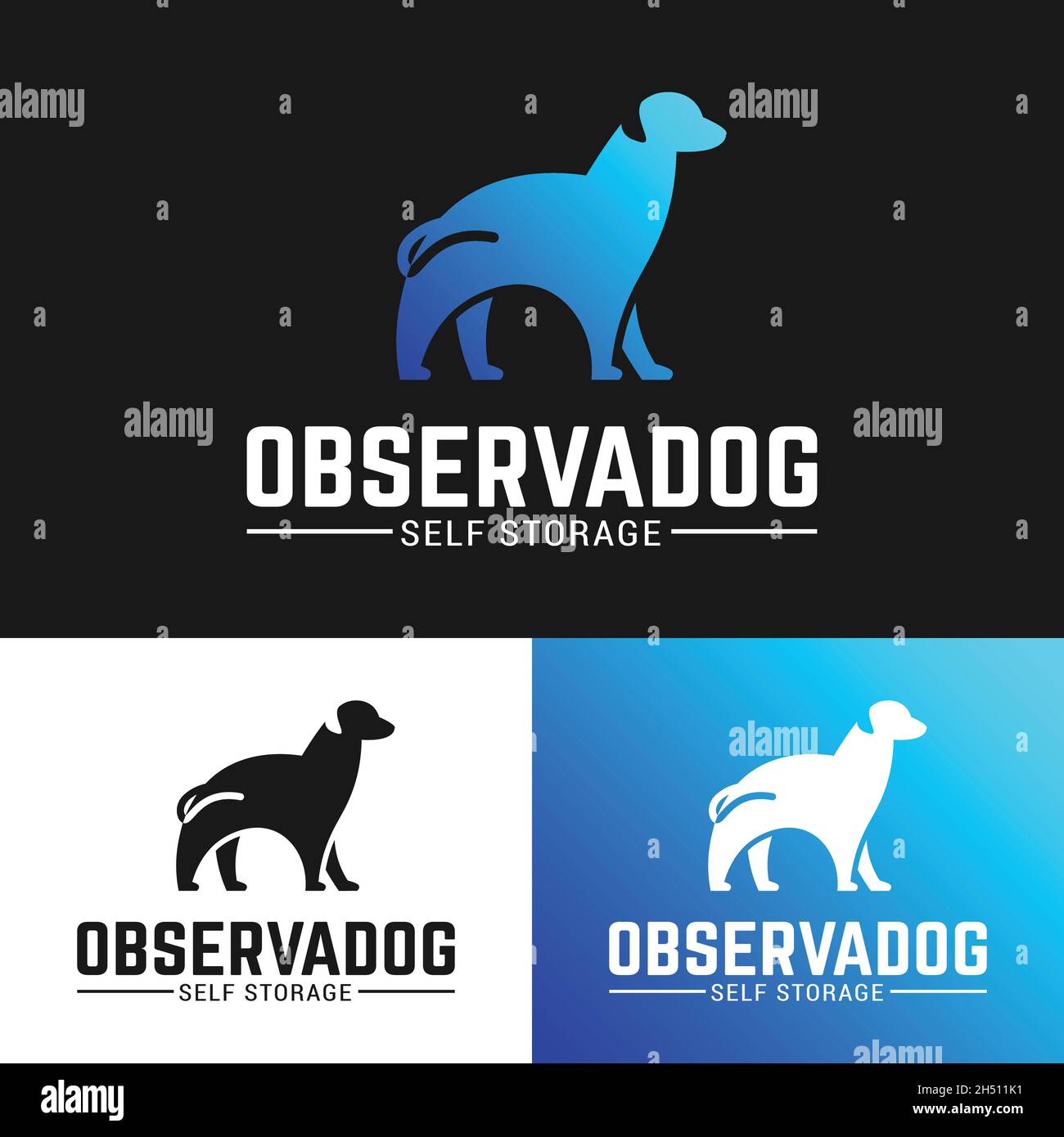 Training puppy retriever Stock Vector Images - Alamy