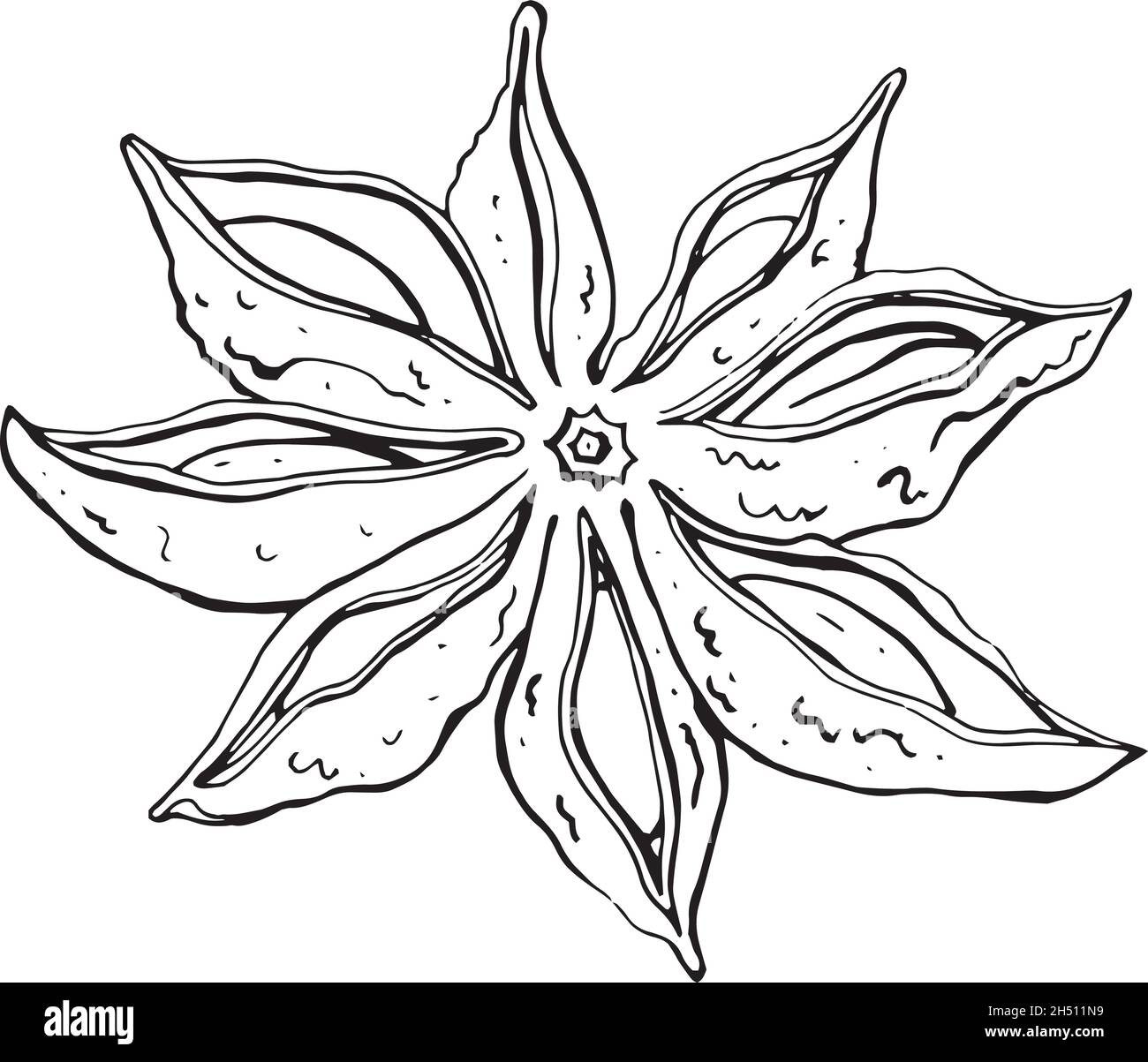 Food spices anise Black and White Stock Photos & Images - Alamy