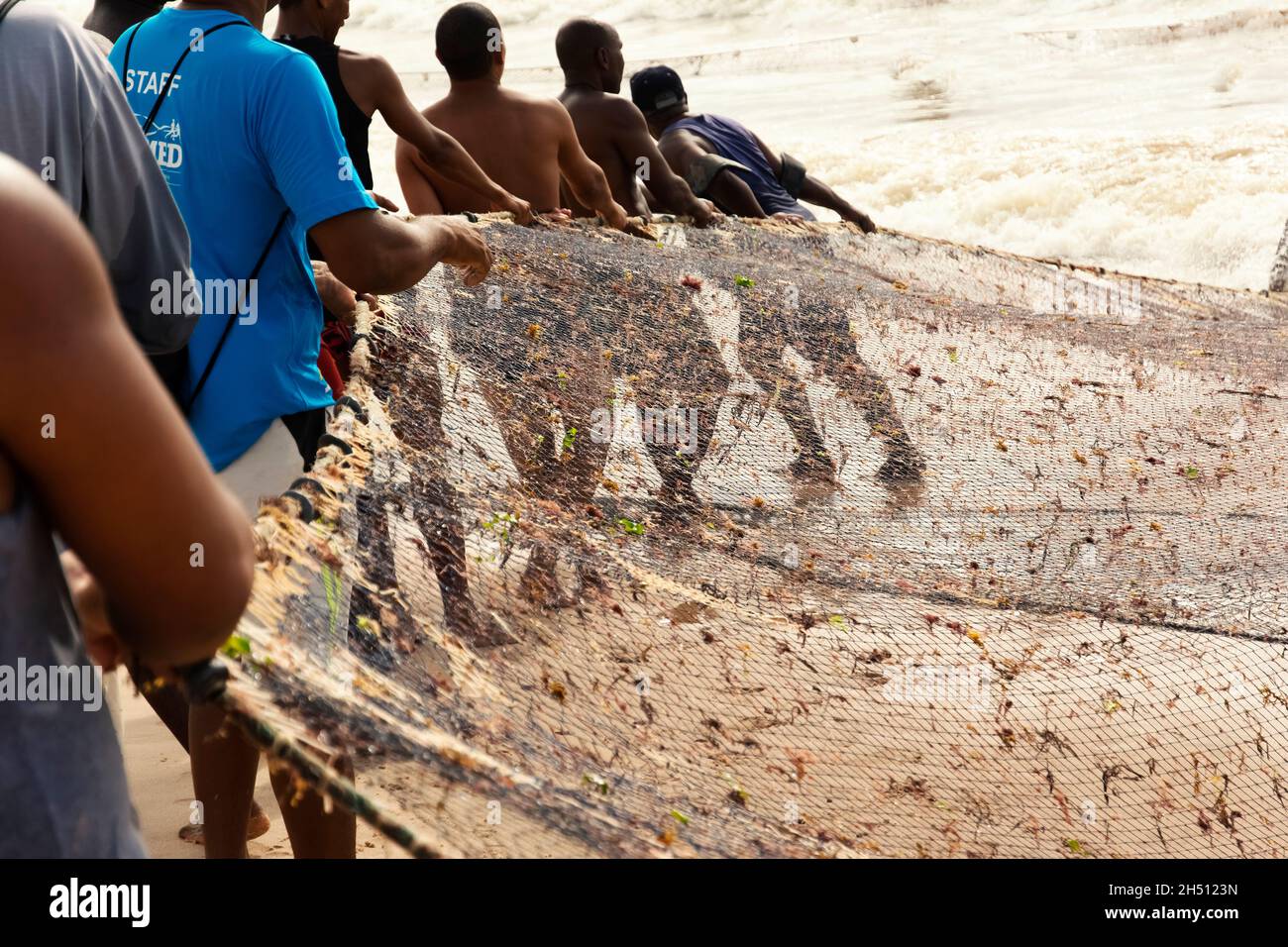 Fishermen pulling their fishing net out of the sea Stock Photo - Alamy
