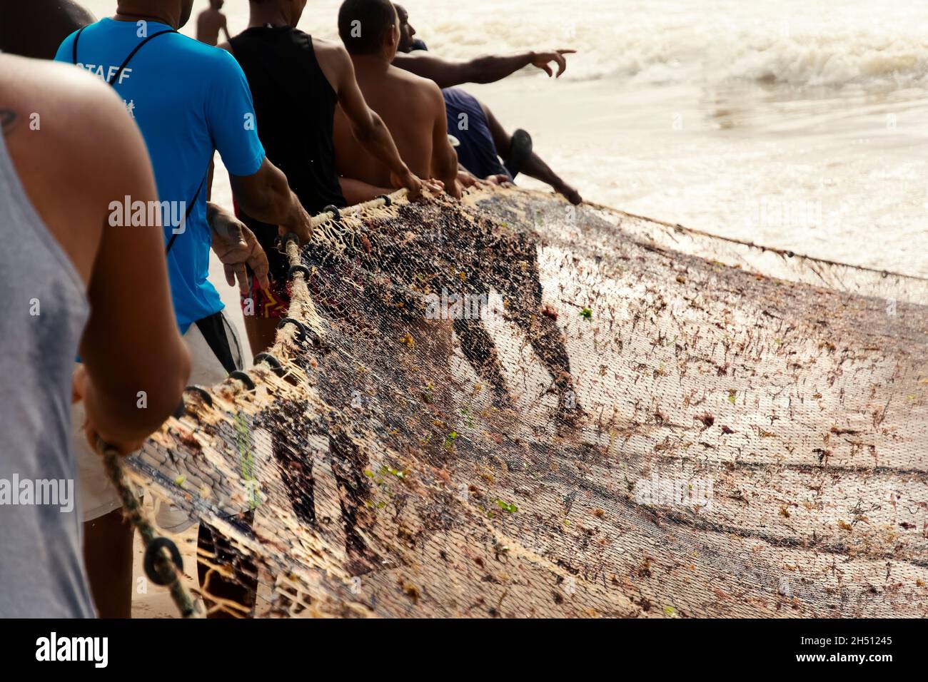 Fishermen pulling their fishing net out of the sea Stock Photo - Alamy
