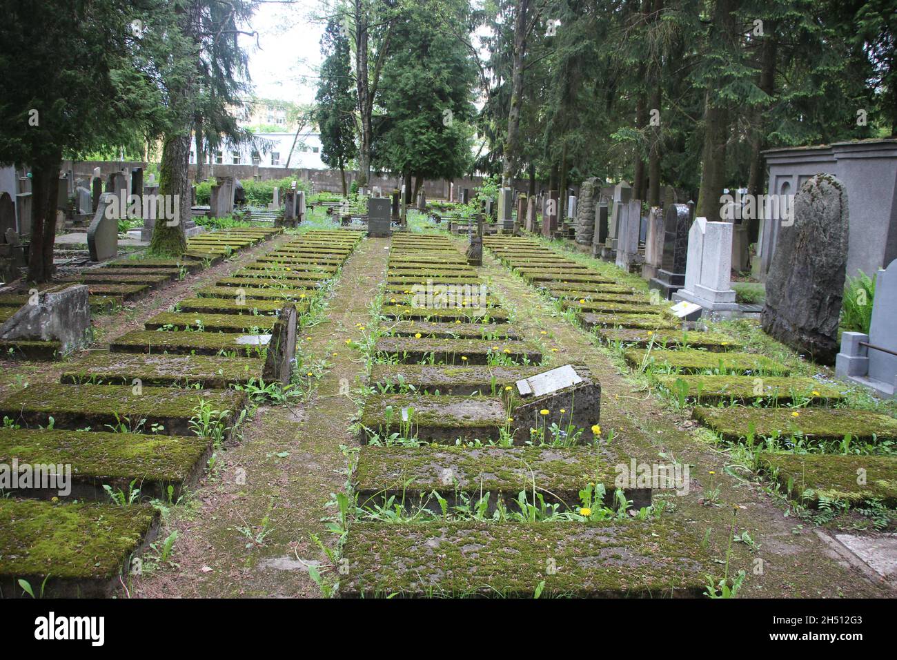 old grave stones in a cemetry. Life and death concept Stock Photo - Alamy