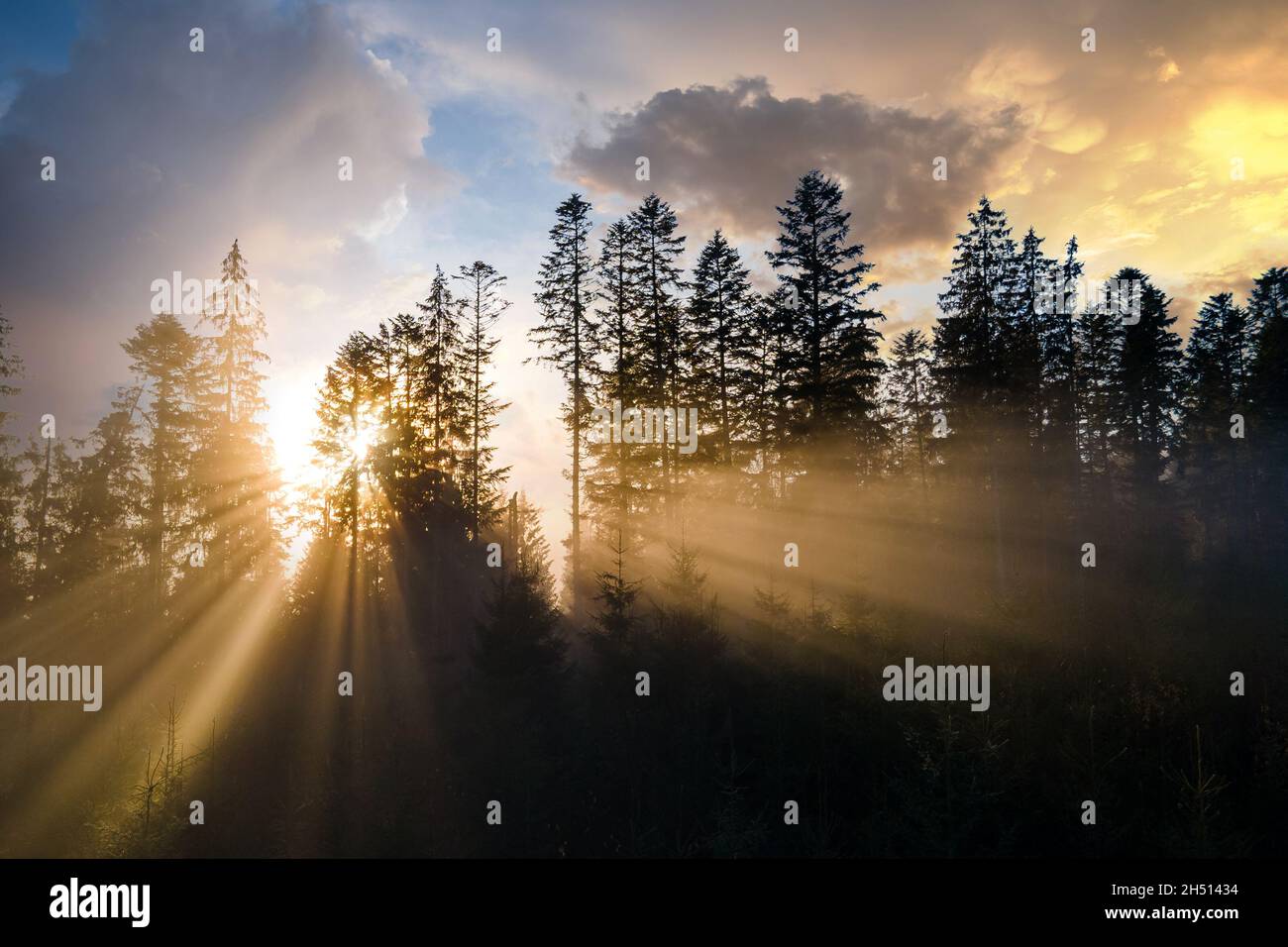 Sunrise over trees through movement hi-res stock photography and images ...