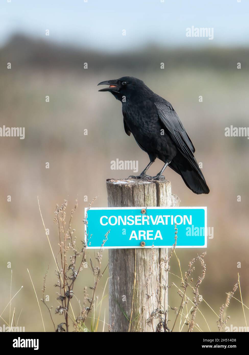 Conservation area sign hi-res stock photography and images - Alamy