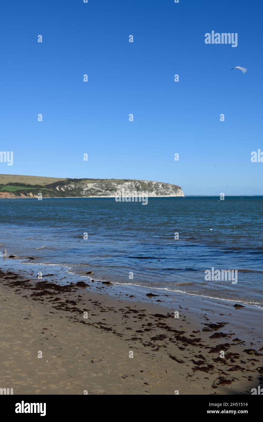 Swanage Bay with Seaweed on Beach Stock Photo - Alamy