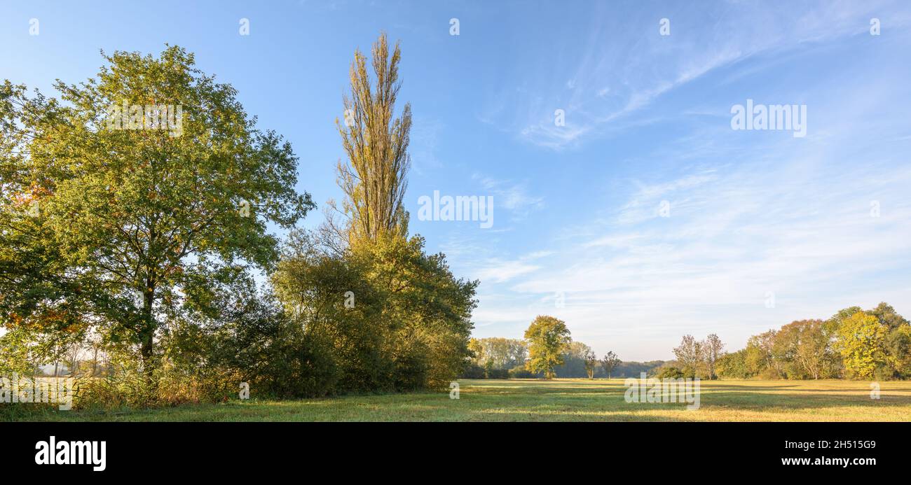 Trees in a meadow in autumn. Banner, panoramic. France, Europe Stock ...