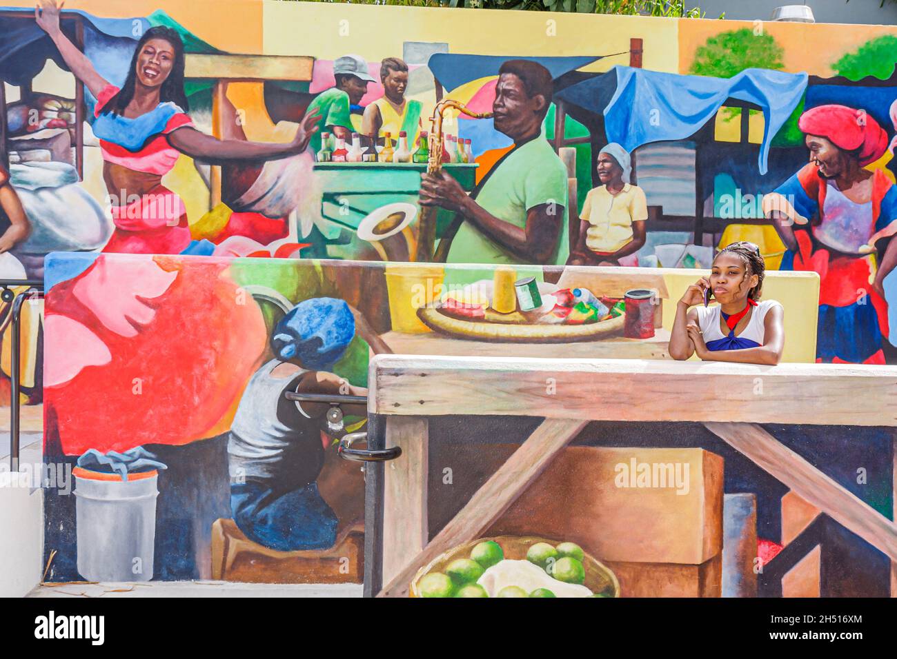 Miami Florida,Little Haiti,Cultural Complex Center centre,art artwork ...