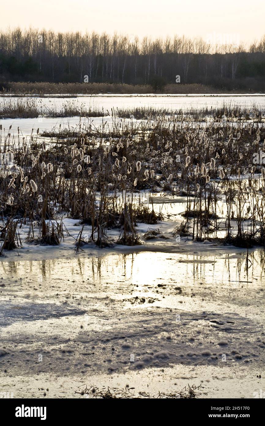 Frozen river pool in winter Stock Photo - Alamy