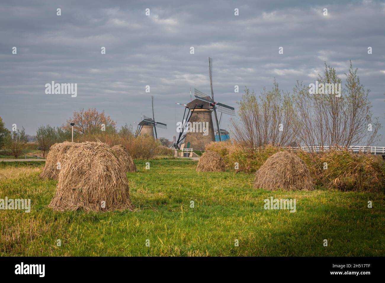 Ancient windmills and hay stacks, Kinderdijk, Netherlands Stock Photo - Alamy
