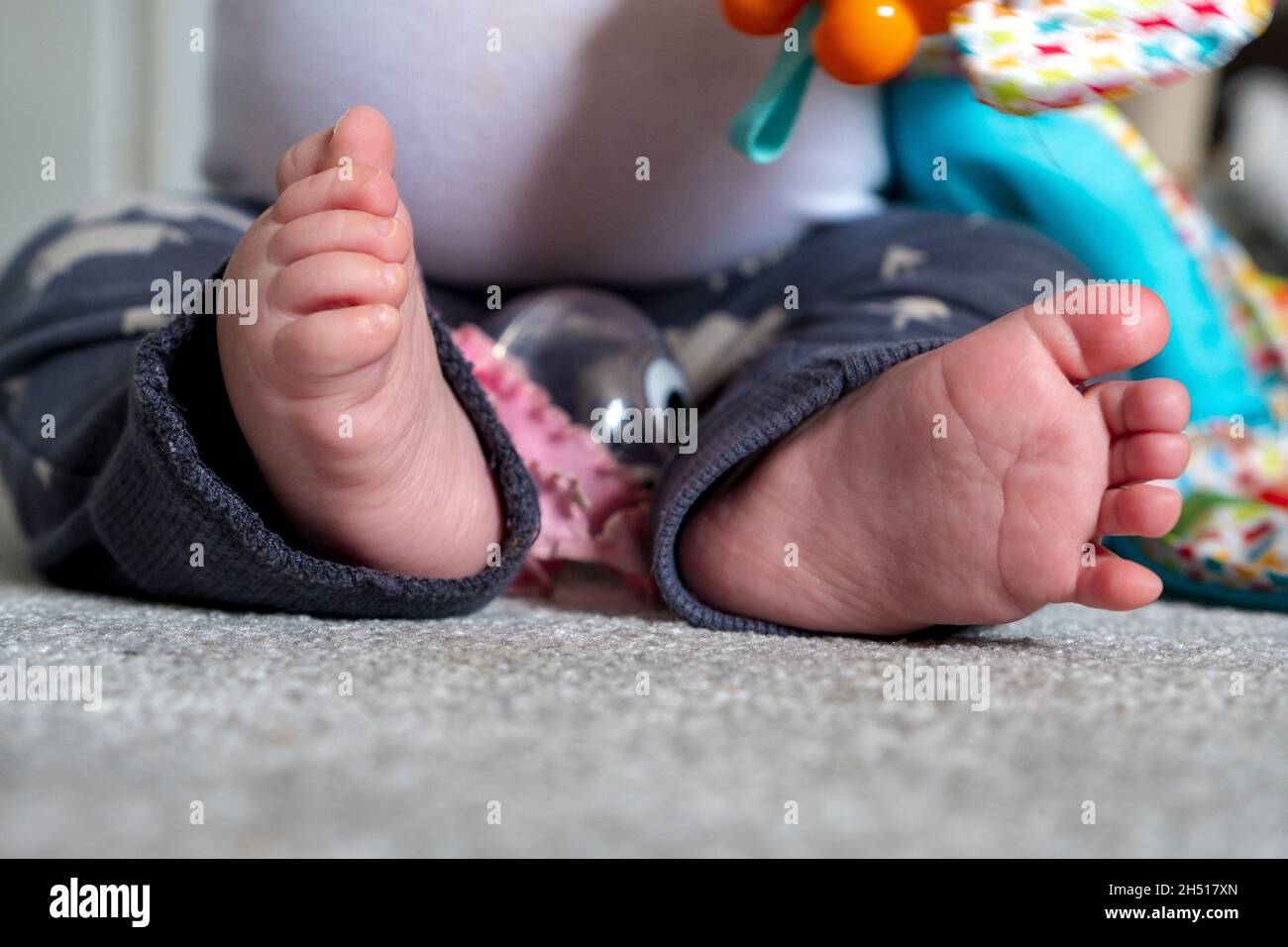 baby's feet - the feet of a 7 month old baby Stock Photo - Alamy
