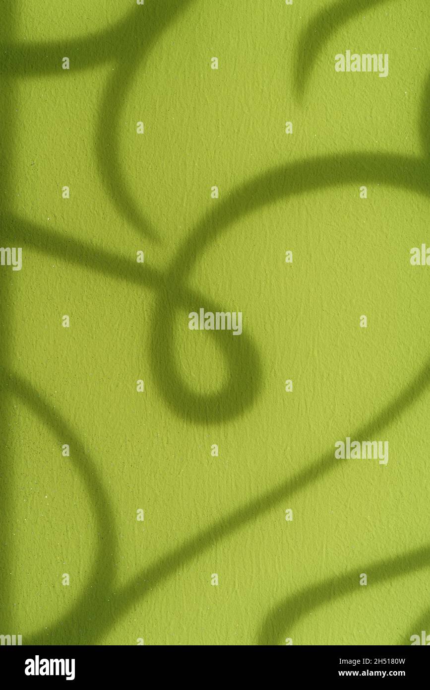 From shadow hi-res stock photography and images - Alamy