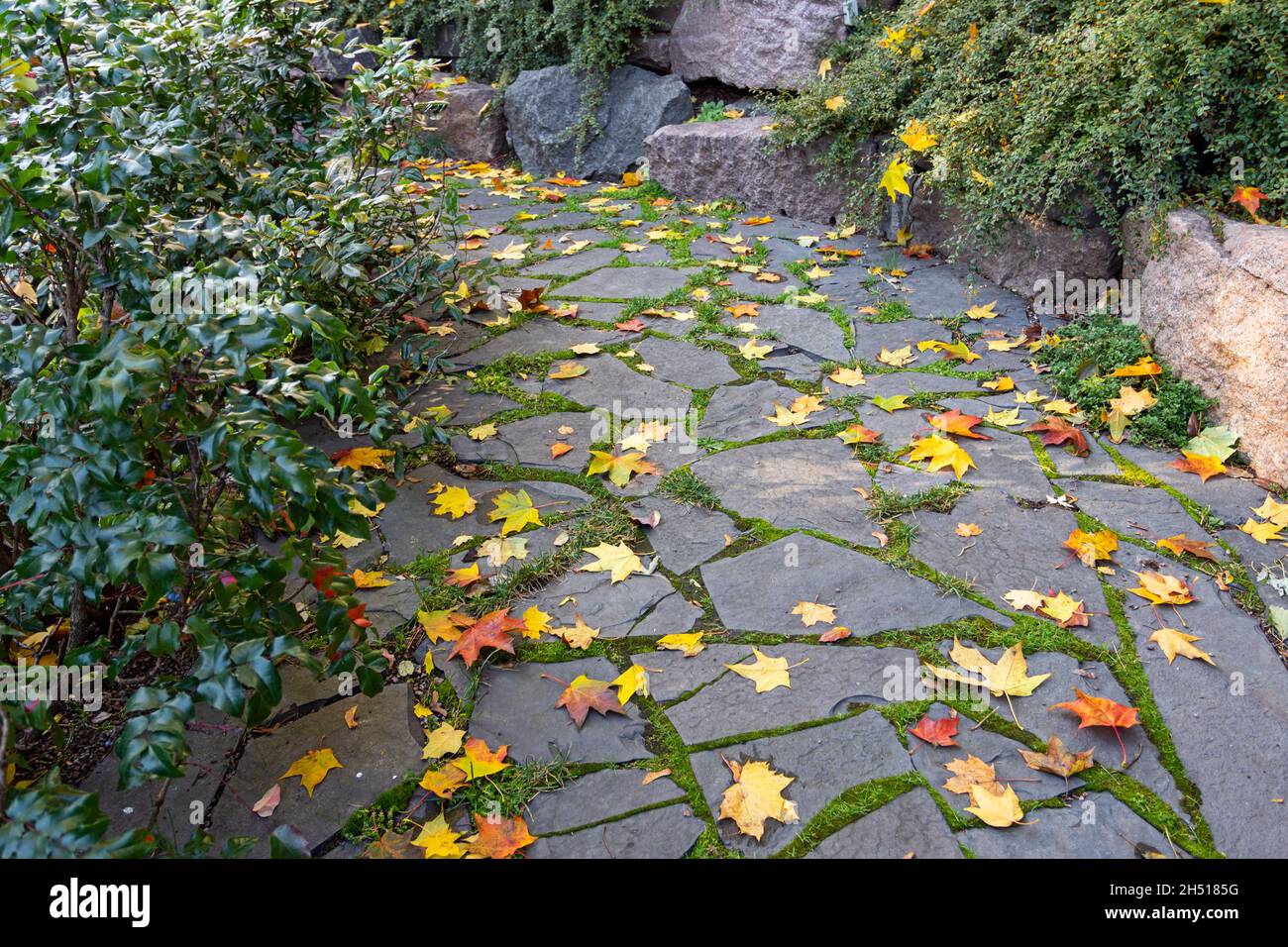 old cobblestone footpath at a park. Decorative trimming of trees and ...