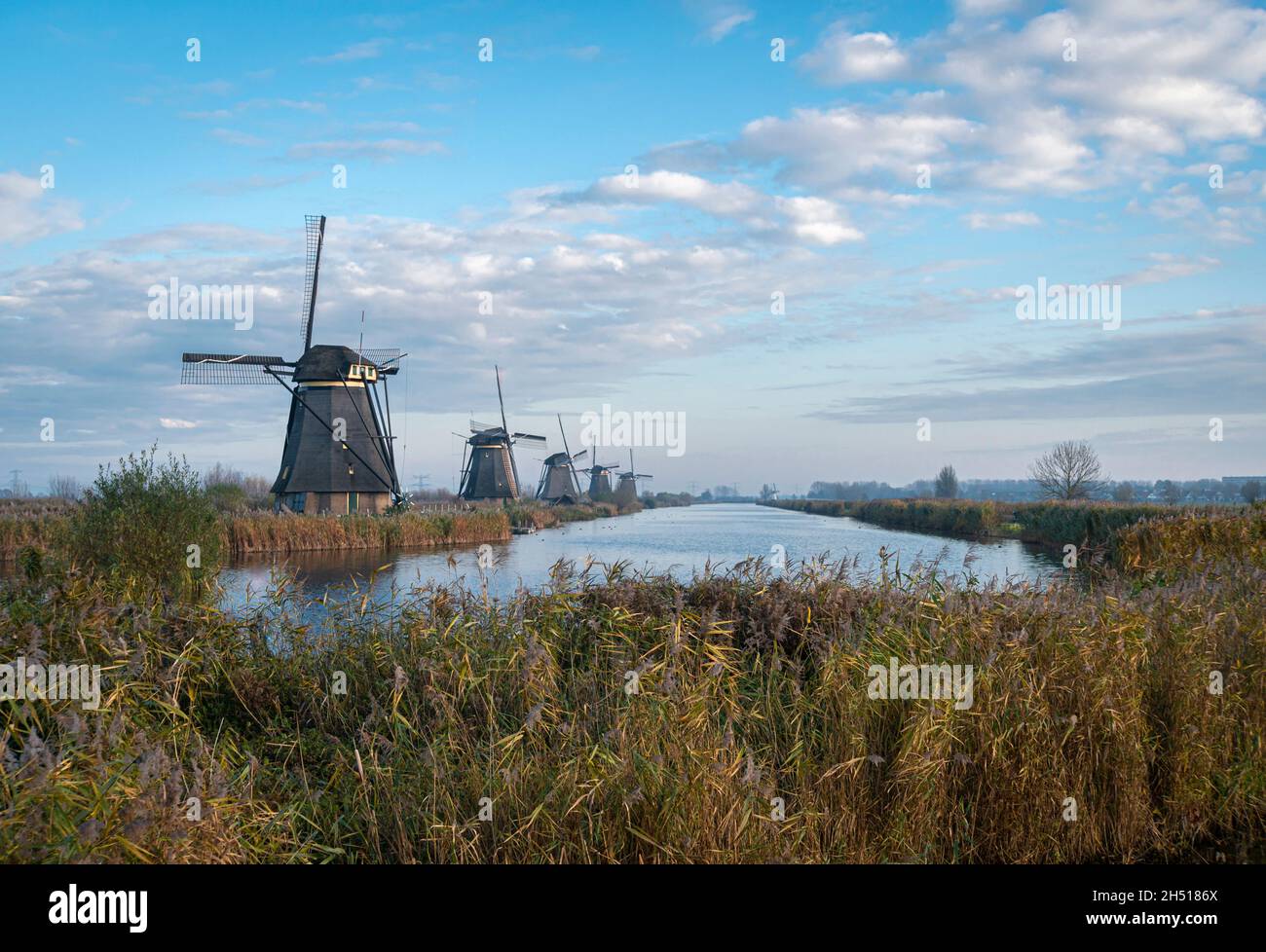 Ancient windmills on the edge of the canal at Kinderdijk, Netherlands ...