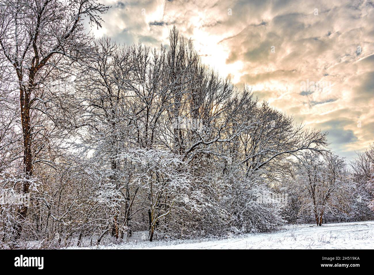 Winter landscape without snow hi-res stock photography and images - Alamy