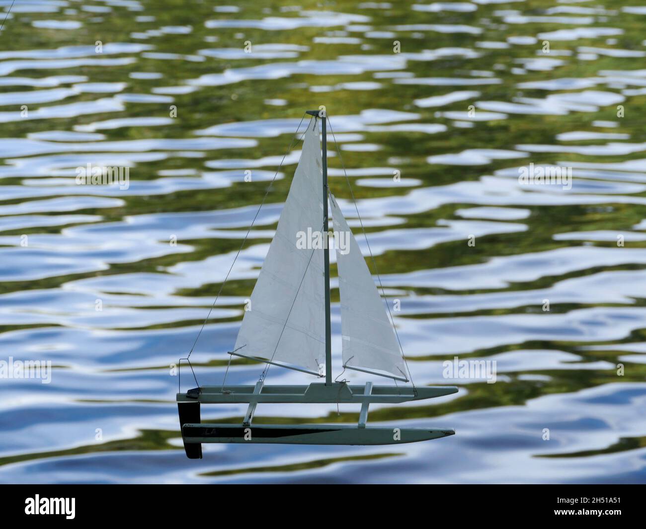 small sailing catamaran on the waves children's toy sailing Stock Photo ...