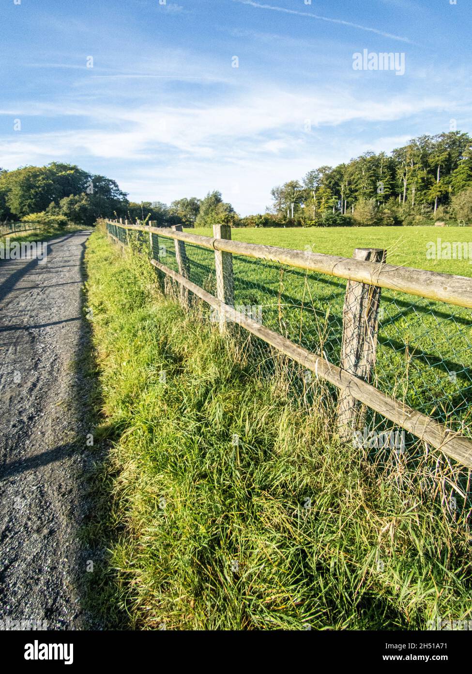 Vertical shot of a route surrounded by a fenced field in the sun Stock ...