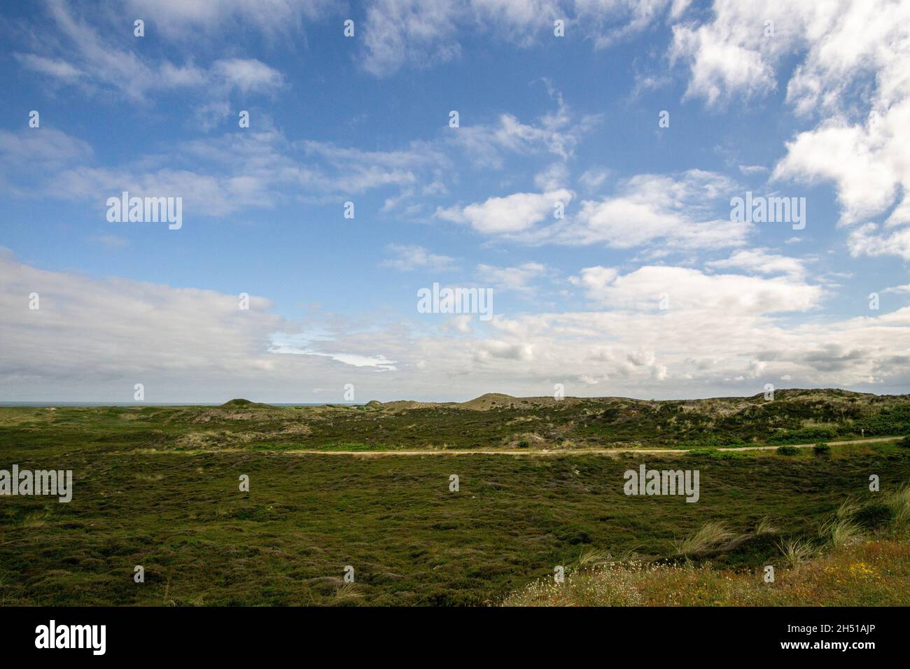 Plain covered with green grass Stock Photo - Alamy