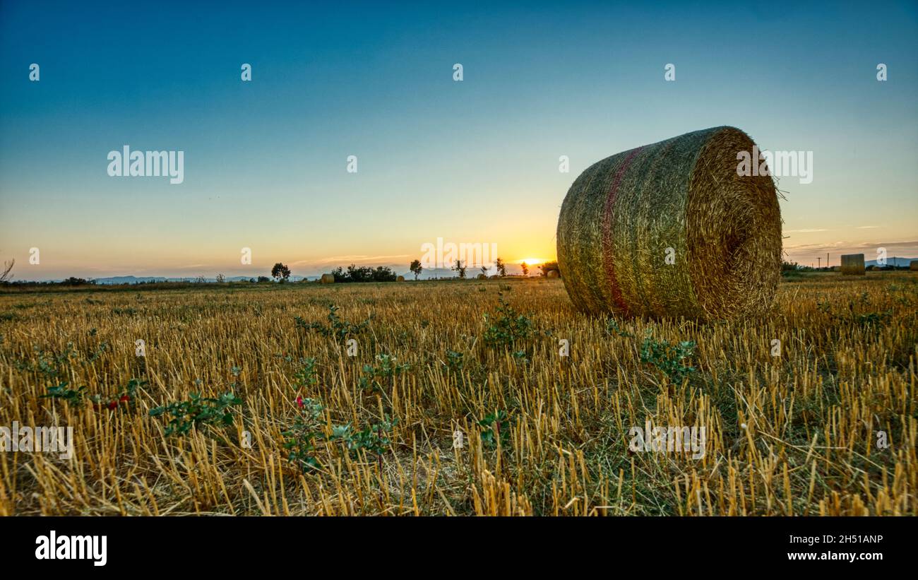Hay bale at sunset Stock Photo - Alamy