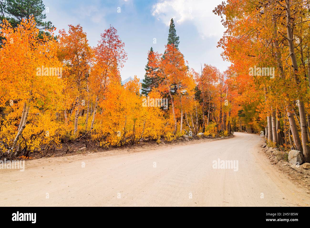 Fall color along the North Lake Road, Inyo National Forest, California ...