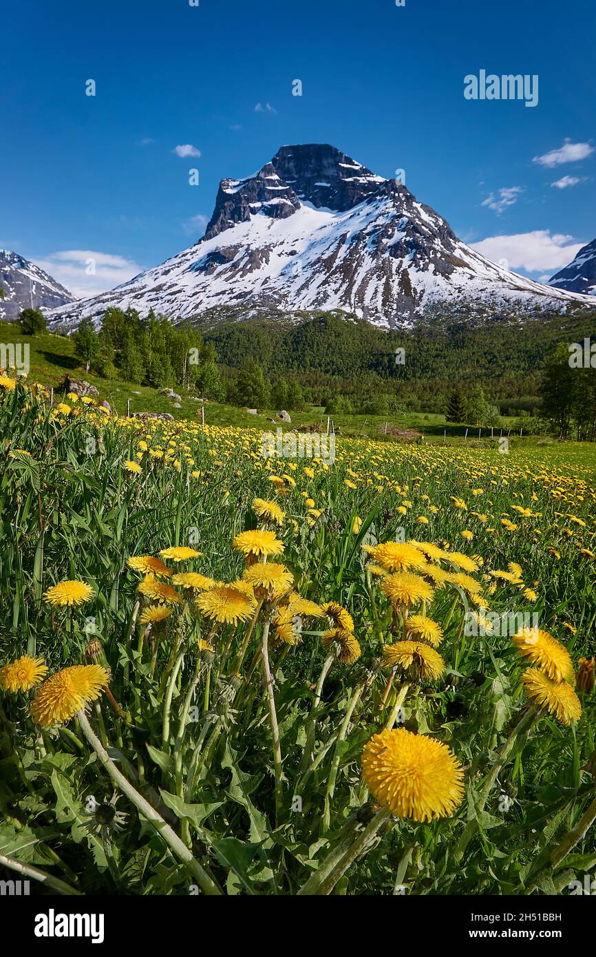 Innerdalen valley hi-res stock photography and images - Alamy