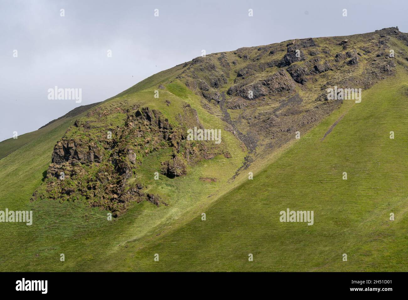 Grassy landscape of cliffs near the Black Sand Beach Vik Iceland Stock ...