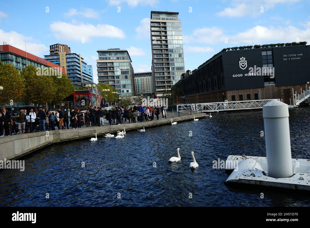 Ducks in a pond at the Excel Centre, Royal Docks in London, England, U ...