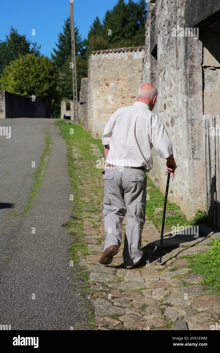 Back view of an old man walking with his cane Stock Photo - Alamy