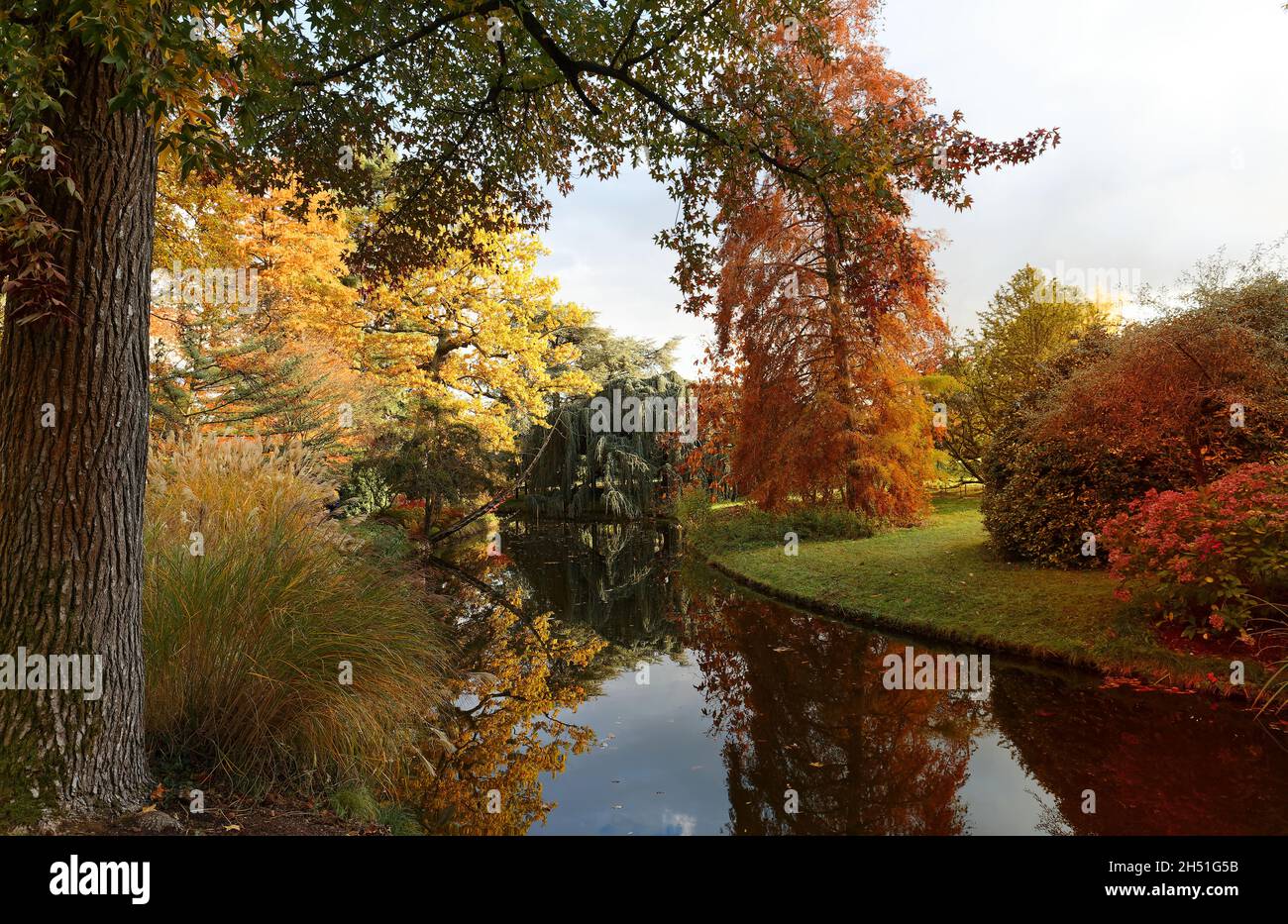 Autumn. Fall scene. Beautiful Autumnal park. Beauty nature scene ...
