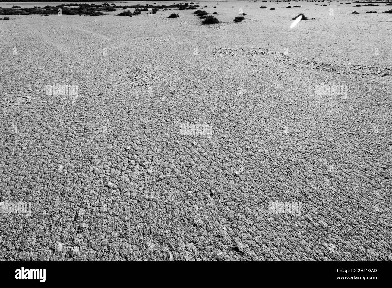Grayscale shot of the rough ground Stock Photo - Alamy