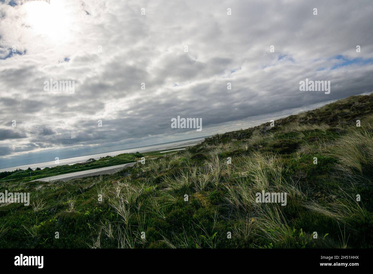 Gorgeous view of skyscape over the green grass waves Stock Photo - Alamy