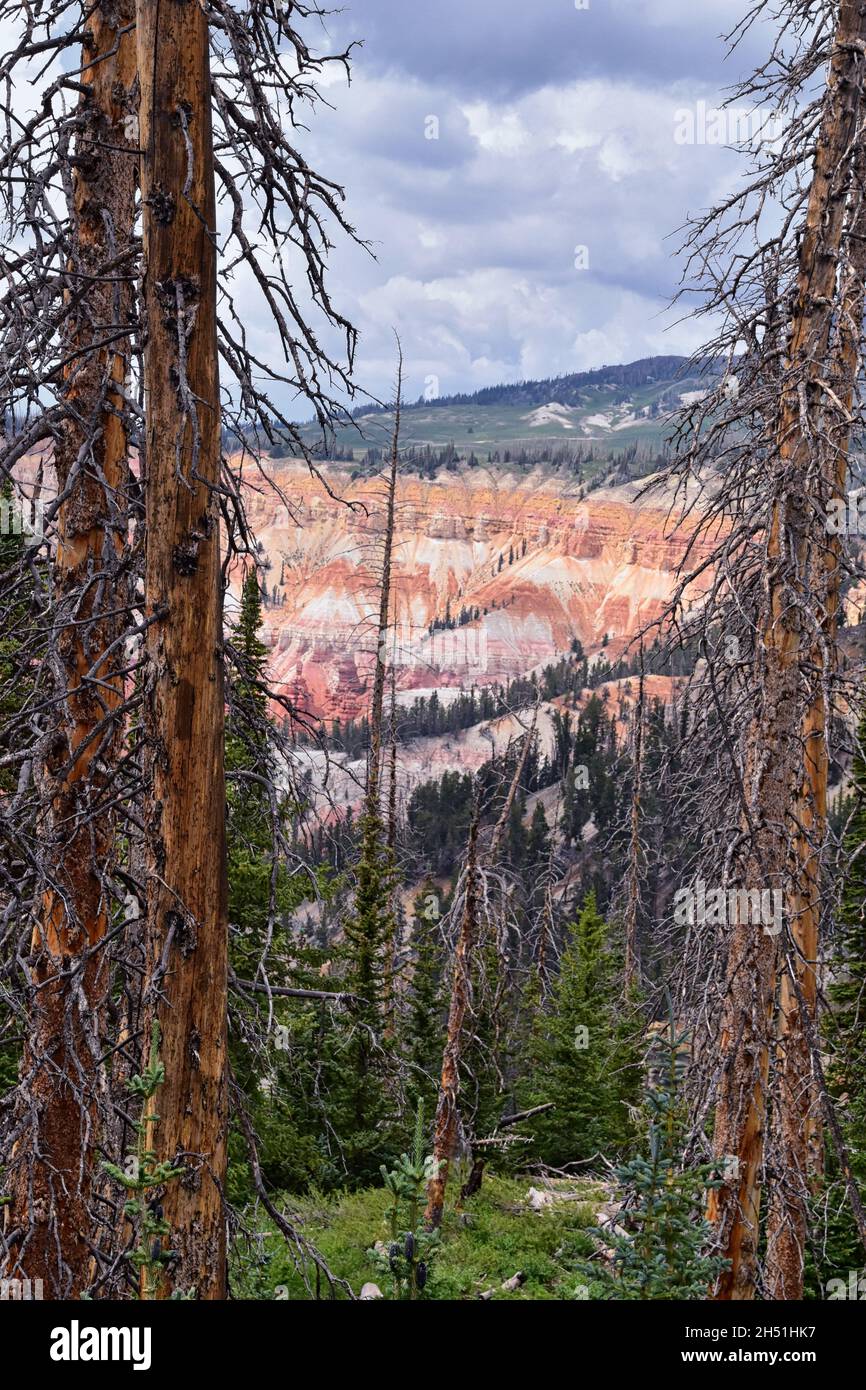 Alpine Pond Trail at Cedar Breaks National Monument views from hiking ...