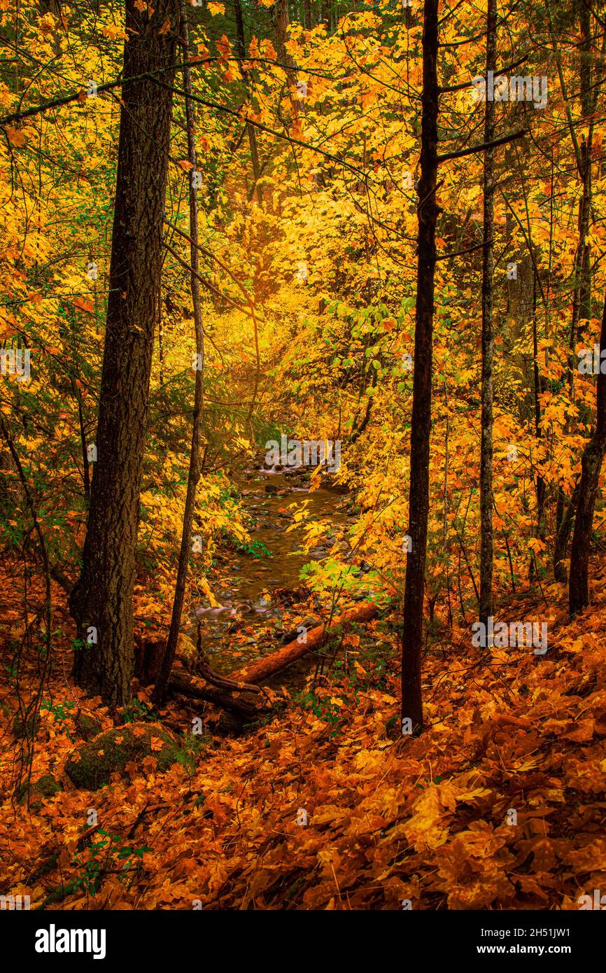 Sacramento trails hi-res stock photography and images - Alamy
