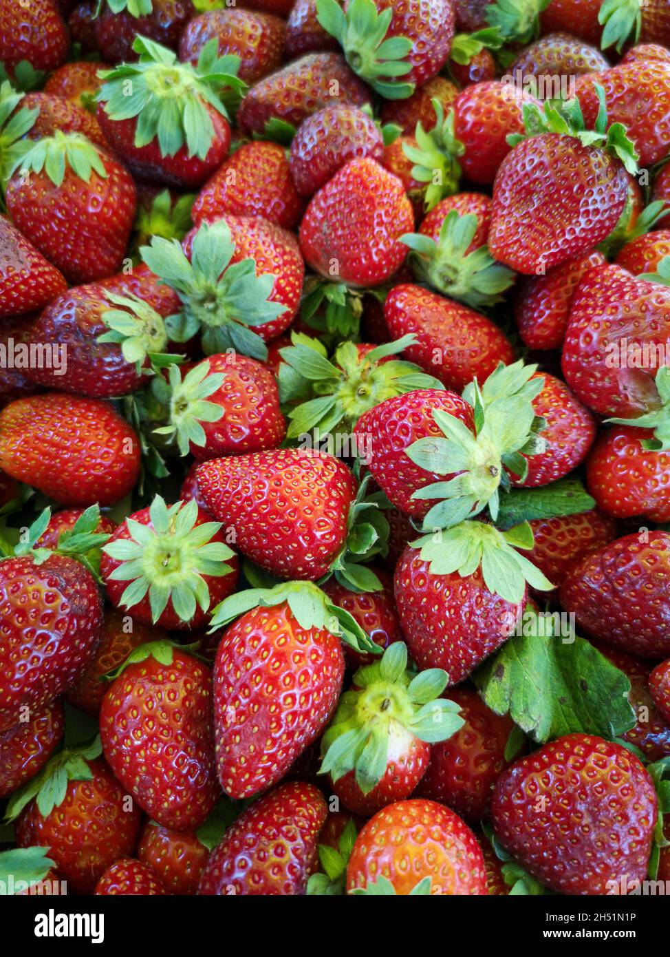 sale of natural strawberries at their right point of maturity in a ...