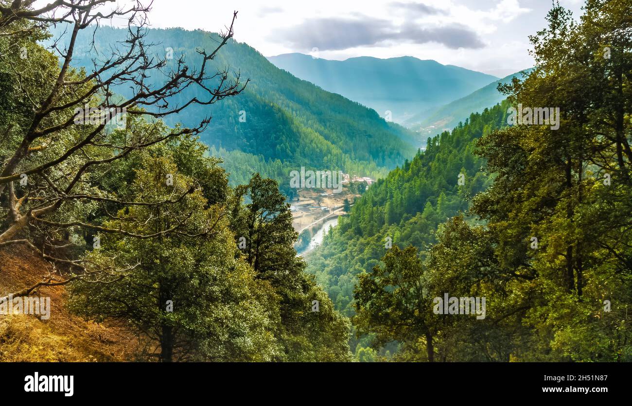 Mountain forest in Bhutan, the Himalayas in the spring, on the way to ...
