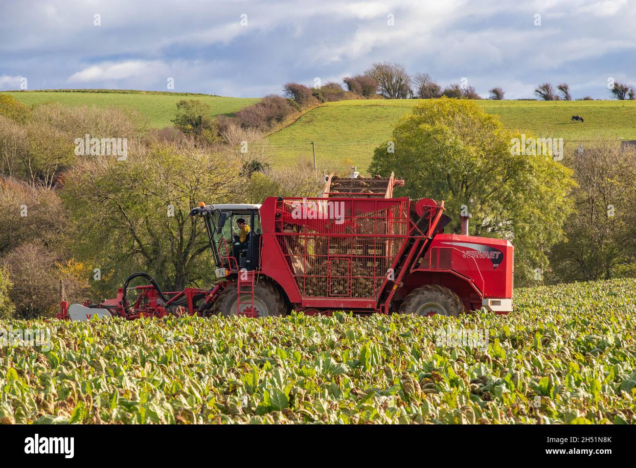 6 row harvester High Resolution Stock Photography and Images - Alamy