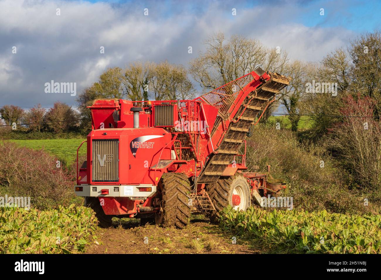 6 row beet harvester hi-res stock photography and images - Alamy