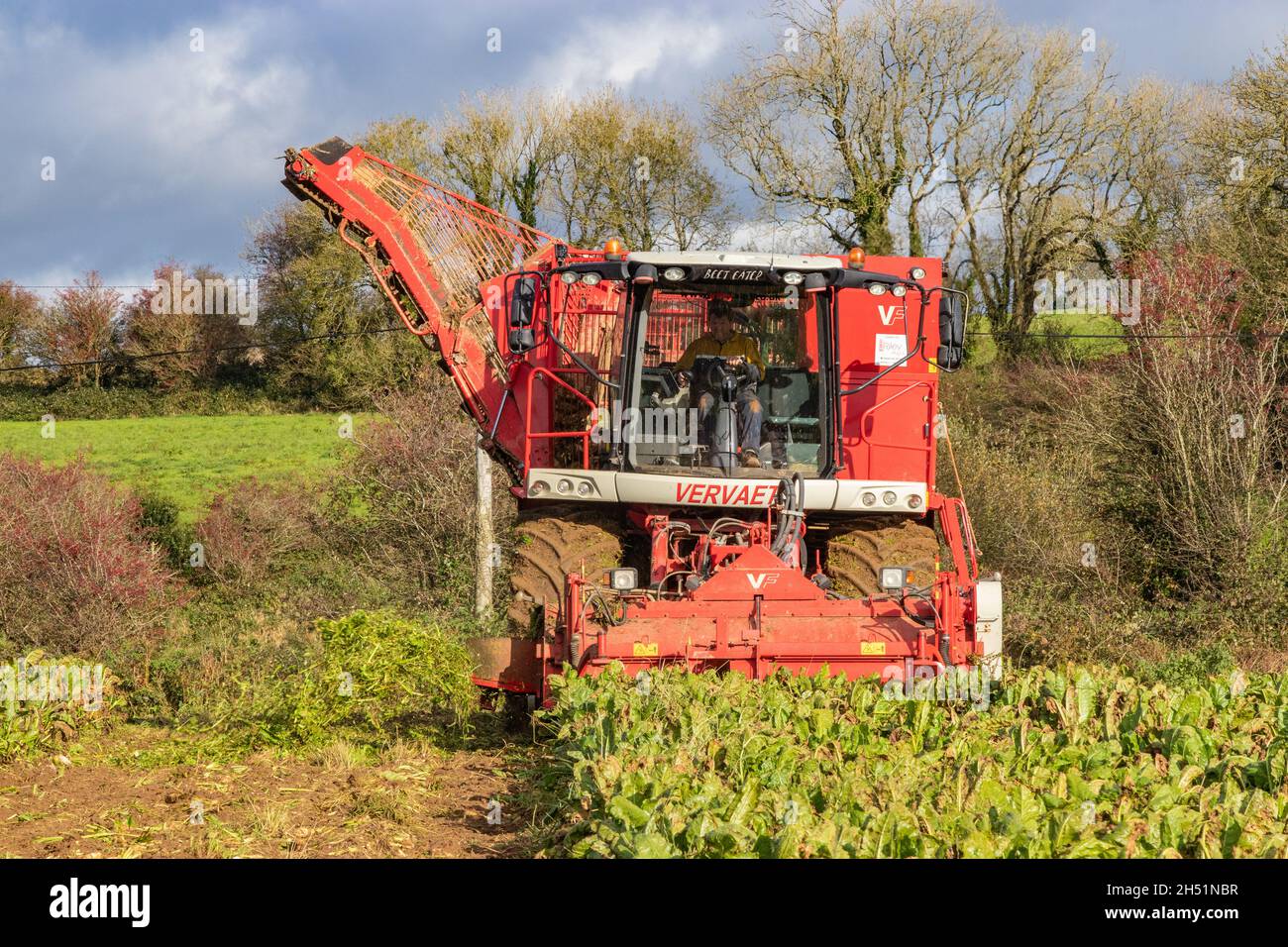 6 row harvester hi-res stock photography and images - Alamy
