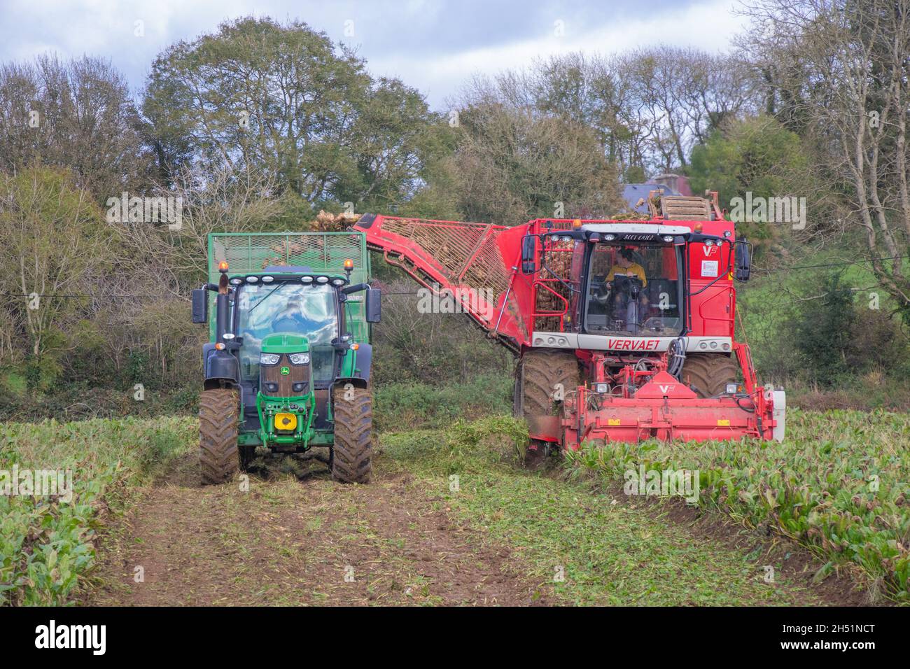6 row harvester hi-res stock photography and images - Alamy